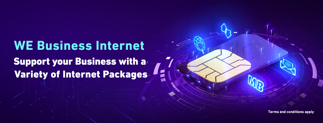 WE Business Internet